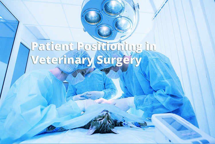 [Guide] Patient Positioning in Veterinary Surgery – VetORSolutions